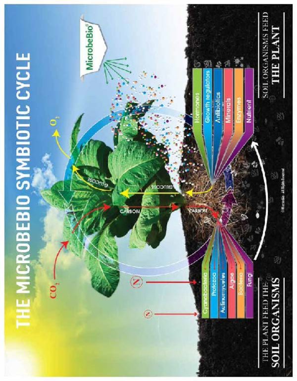 MicrobeBio® Hydro Activator™ - Microbial fertilizer Organic Fertilizer USA