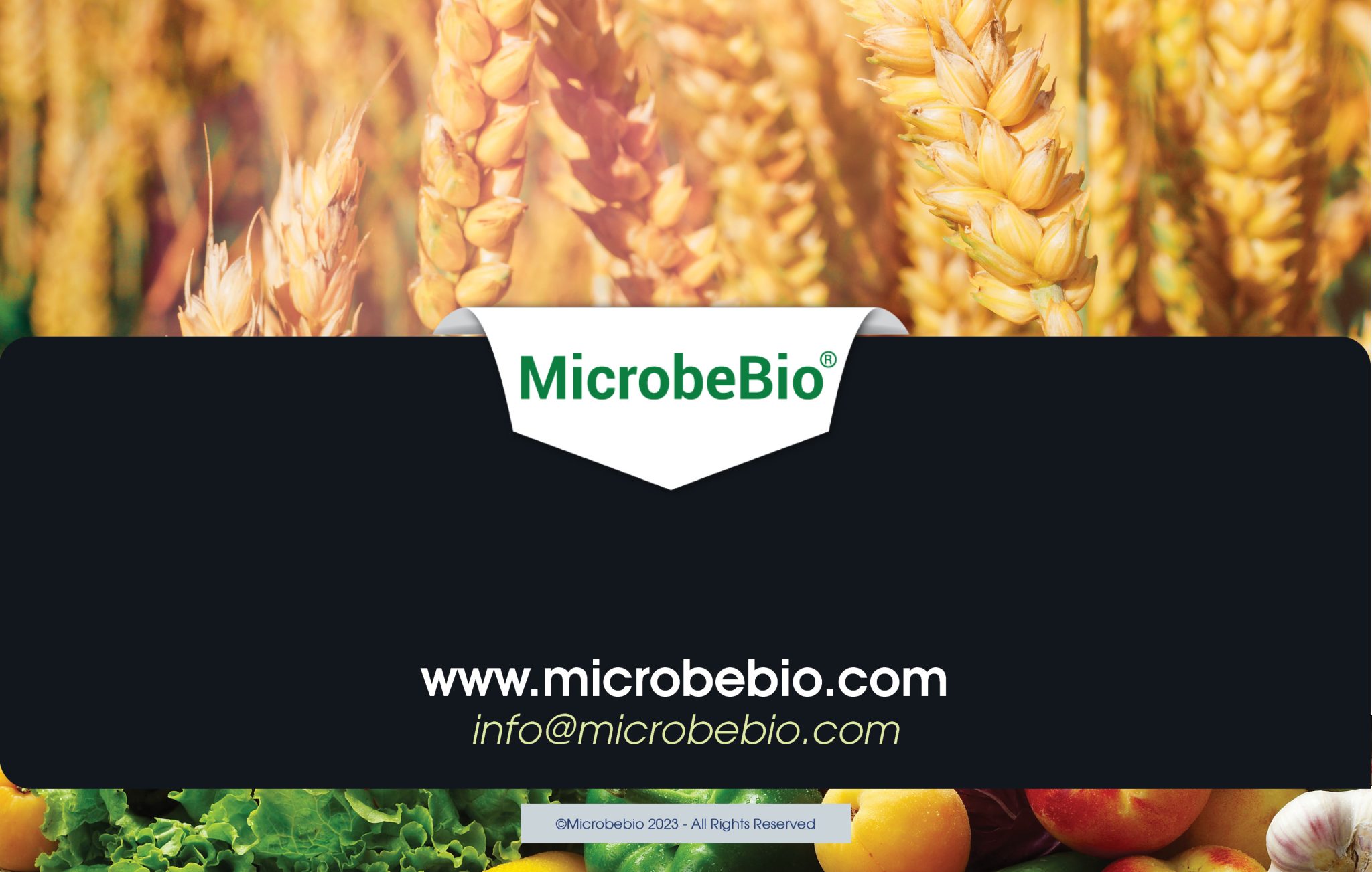 MICROBEBIO - Transforming Agriculture with Nitrogen-Fixing Microbes ...